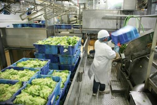 La coopérative Agrial prête à grandir