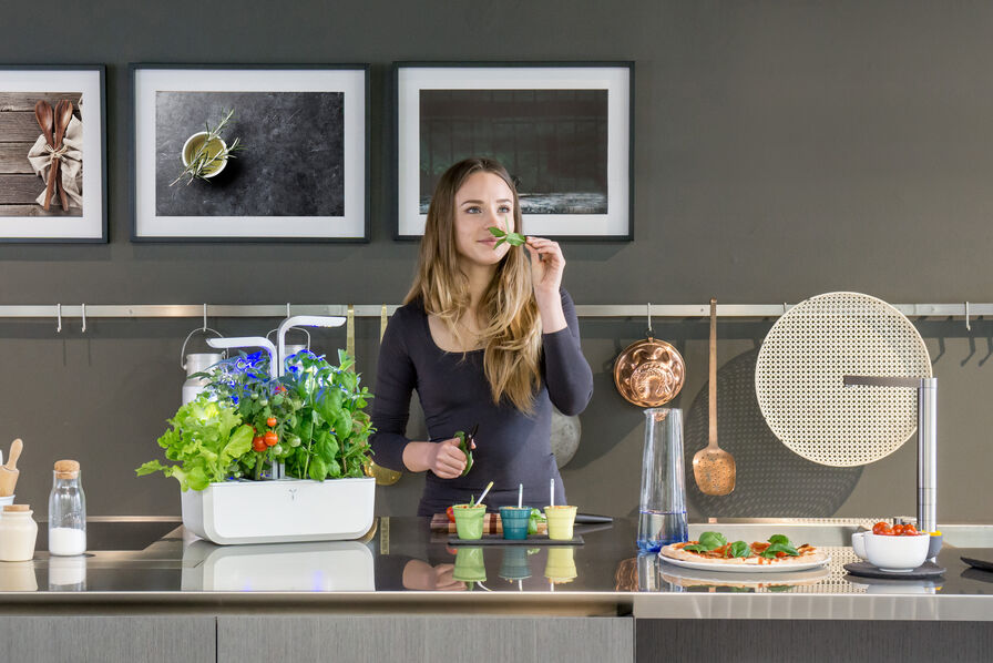 Un "Véritable" potager d'intérieur intelligent