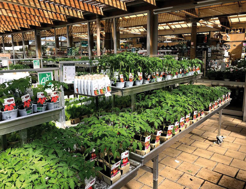 Botanic veut passer son offre potager au 100?% bio - Grande ...