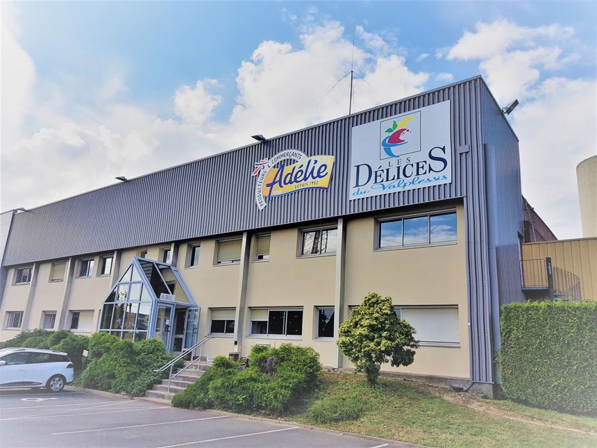 Glaces Comment Le Site Des D lices Du Surgel s Glaces Glaces Comment Le Site Des D lices Du Surgel s Glaces