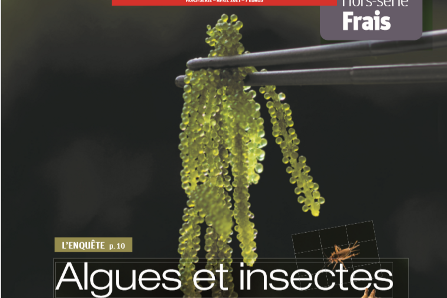 Hors-série LSA Frais froid – Avril 2021