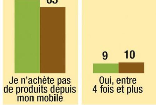 Les français consultent, mais tardent à passer à l'acte d'achat